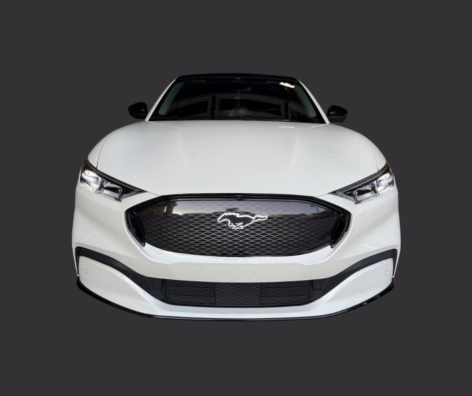 NON GT COLLECTION – Bskt Design