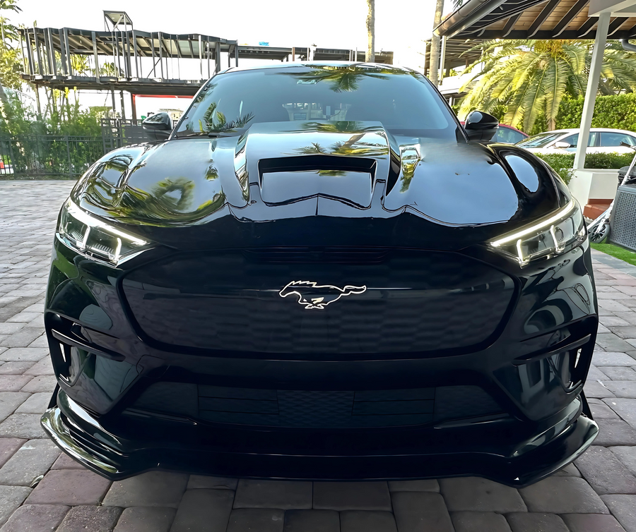 Performance requires style, particularly when it comes to the animal ...